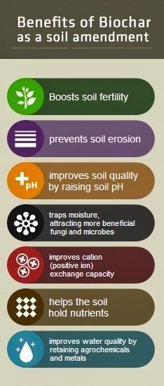 Biochar application to Soil