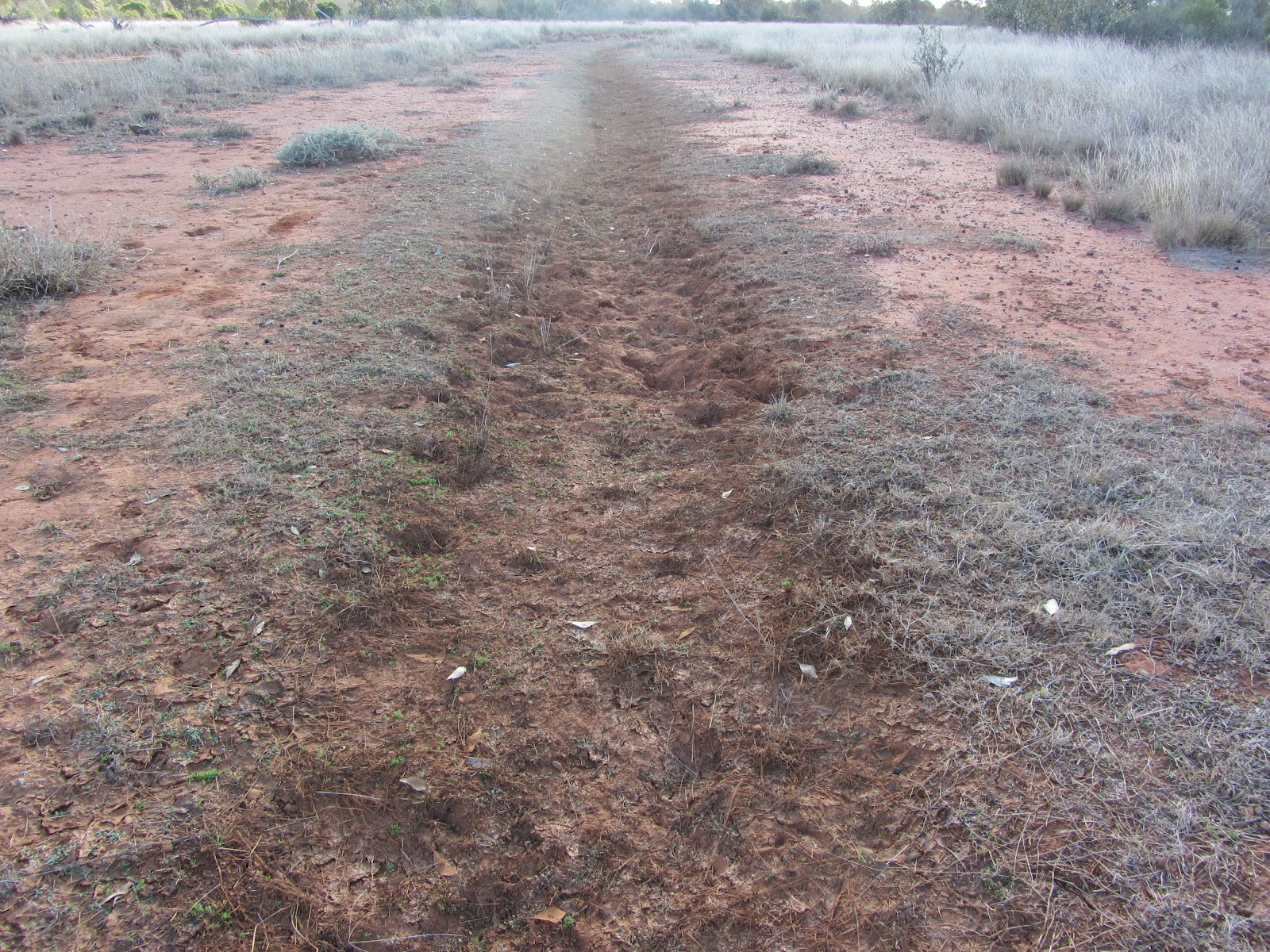 Stock routes, tracks and bore drains