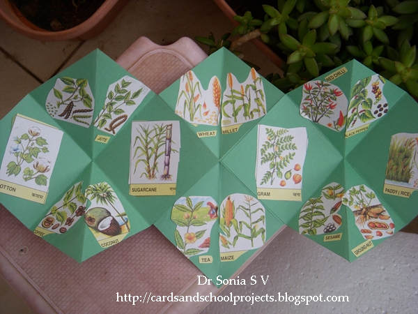 Cards ,Crafts ,Kids Projects: Squash Book Tutorial