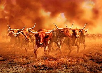 WHAT WAS THEN: STAMPEDE