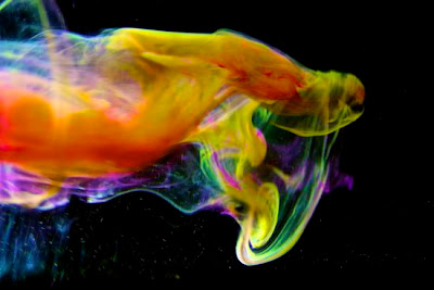 Art & Science Journal — Pery Burge