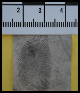 Latent Fingerprint Development Techniques: Physical Developer