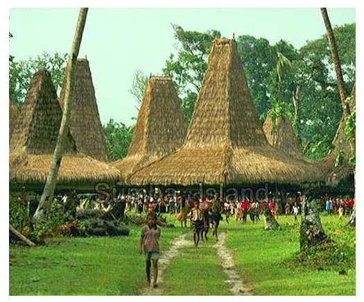 Ardianus Patty: Rumah Adat di Pulau Sumba