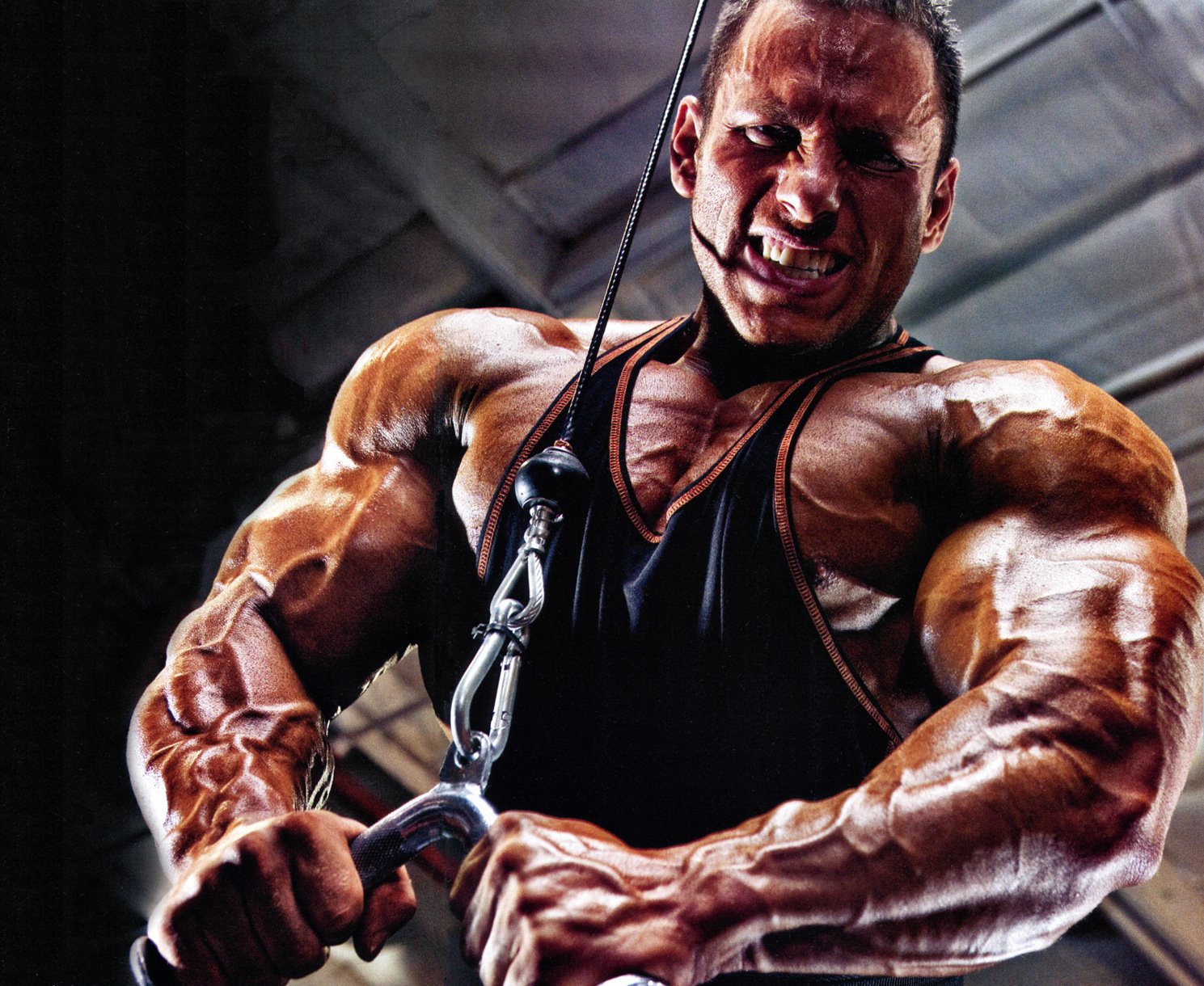 Knights of Bodybuilding: MICHAEL LIBERATORE