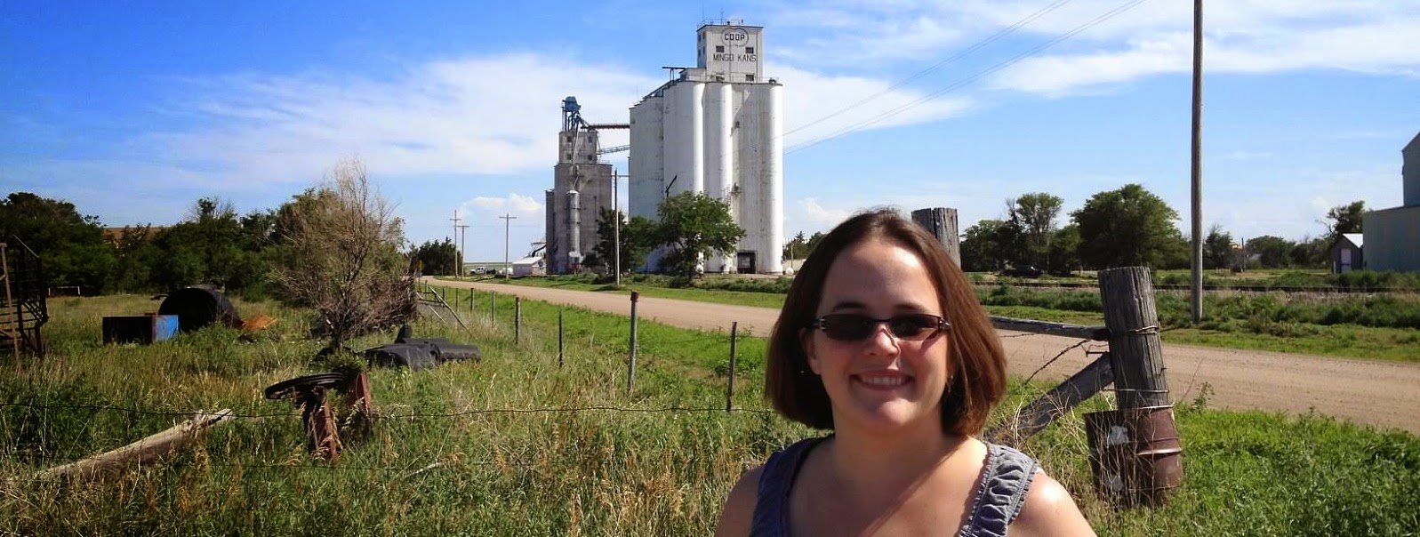 Toddling Through Kansas: Mingo