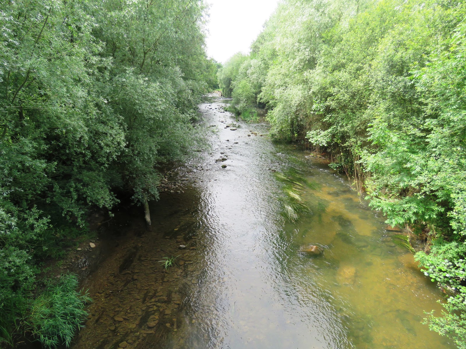 Senda por el río Cubia (Grado)