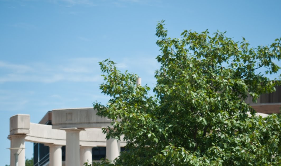 UIS News: U.S. News & World Report gives UIS top ranking for the fourth ...