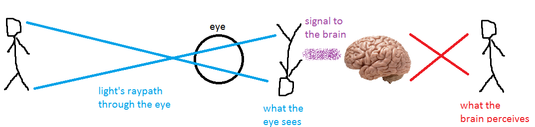Propagating Disturbance...: Propagation Theory