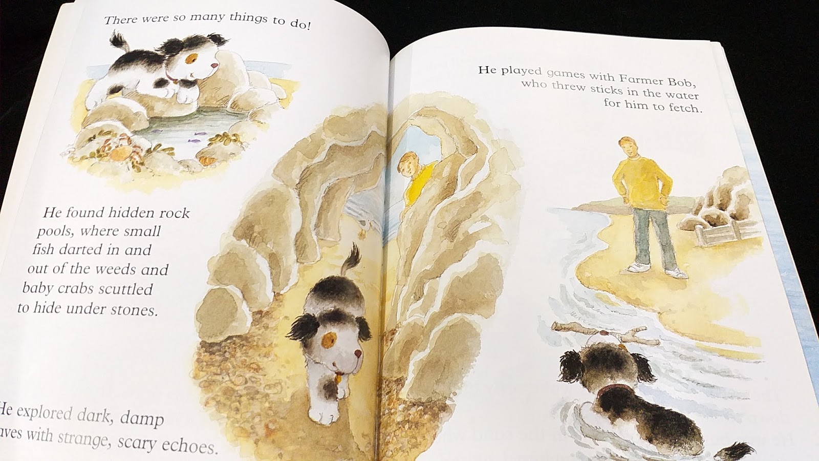 Kid Books Blog: 55.Fergus