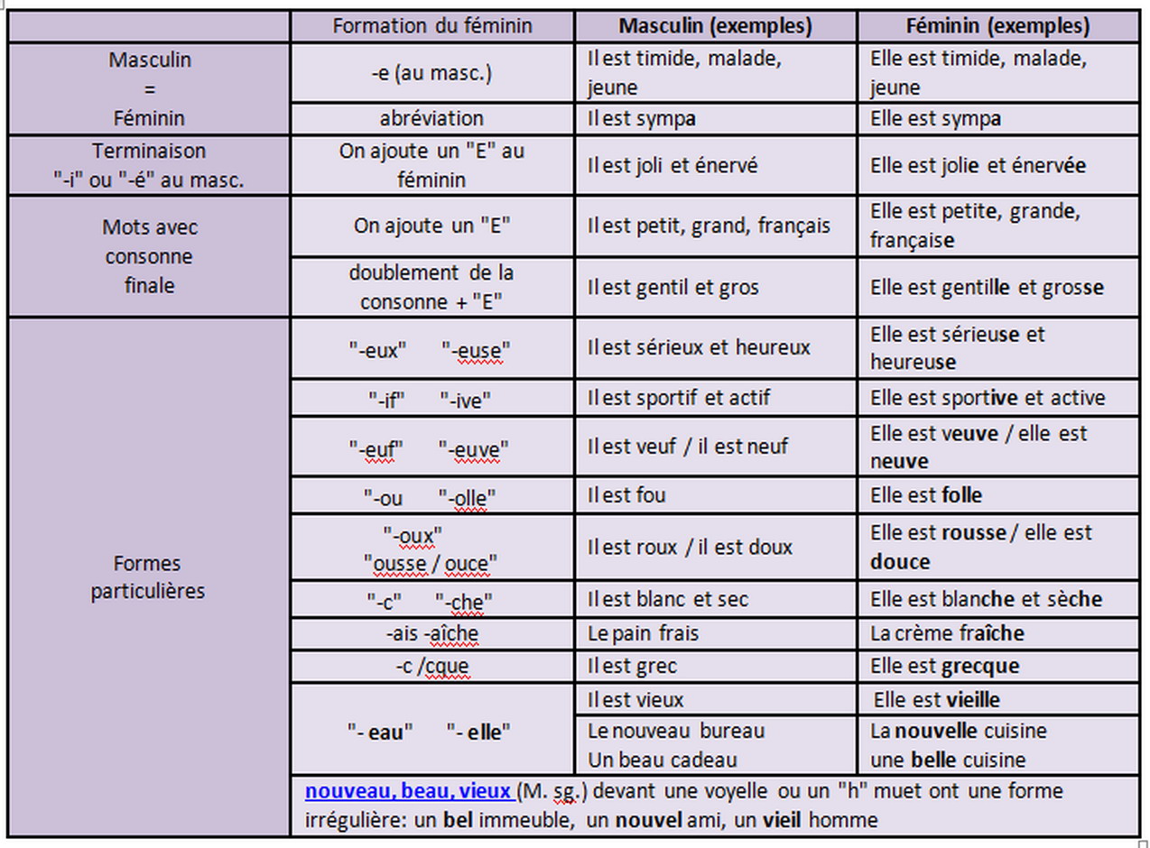 Blog FLE - IES ISLA DE LA DEVA: La formation du féminin des noms et des ...