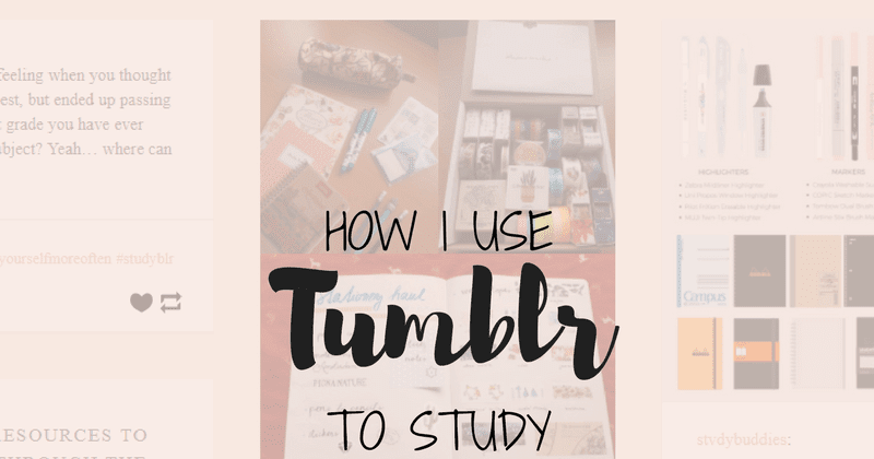 Amaris Elizabeth: How I Use Tumblr To Study
