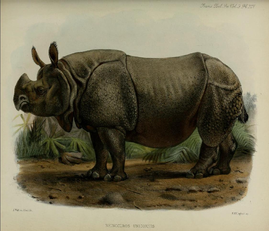 BiblioBytes: The Harold T. Clark Library Blog