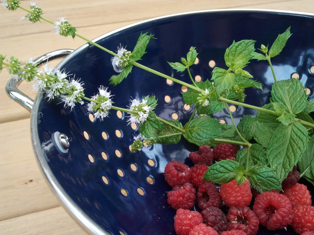 Sweet Inspired Home: Inspired by raspberries and mint