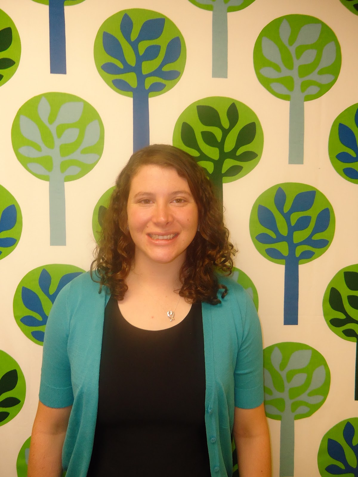 Met Council's Volunteer Department: Interns this Summer