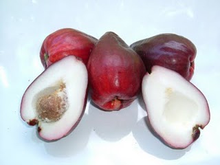 Manfaat Buah Jambu bol | SEHAT YUUUK!!!