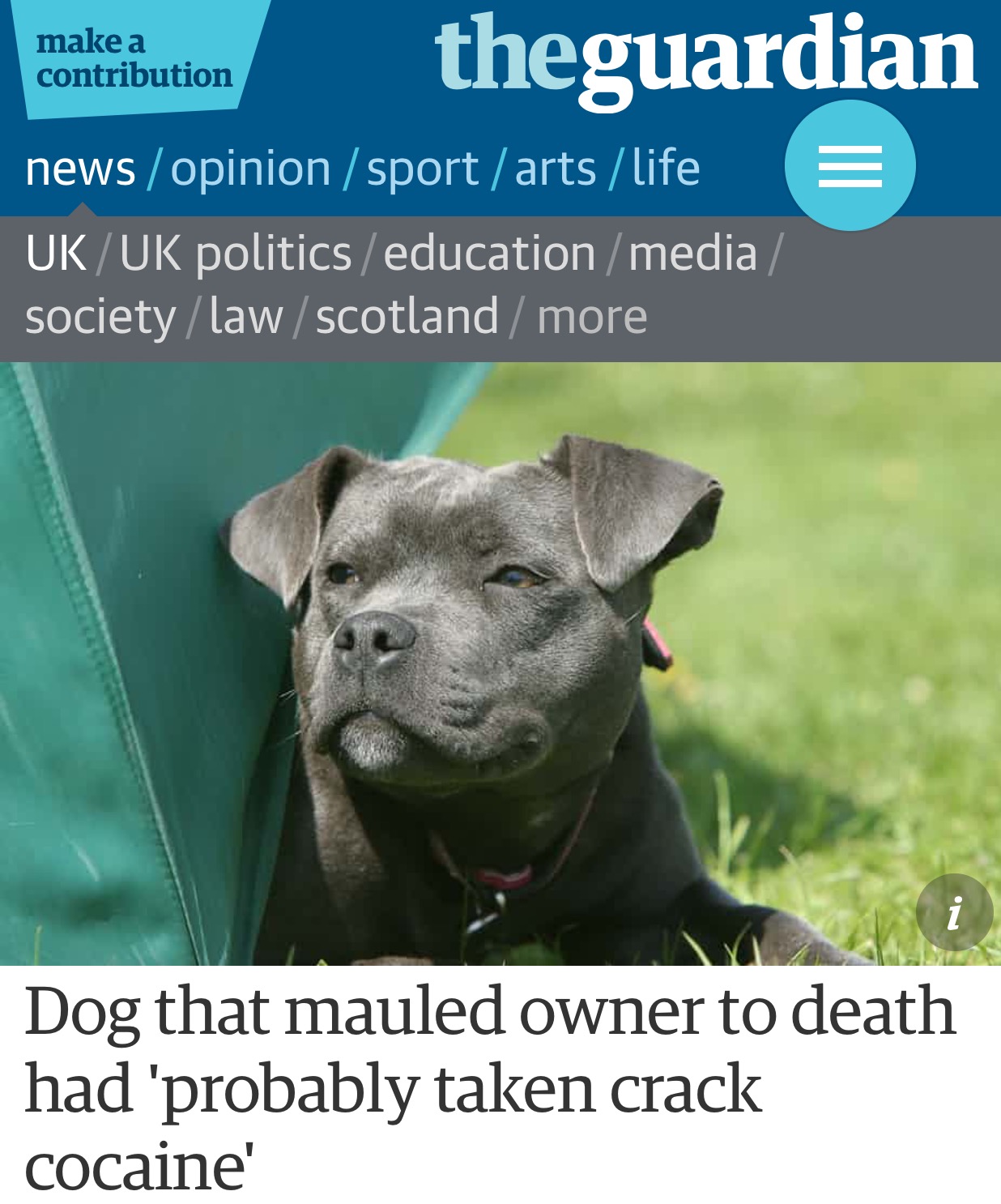 Terrierman's Daily Dose