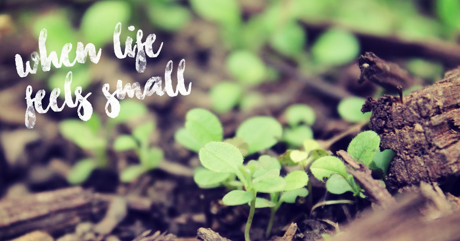 When Life Feels Small | Encouragement For Everyday Struggles