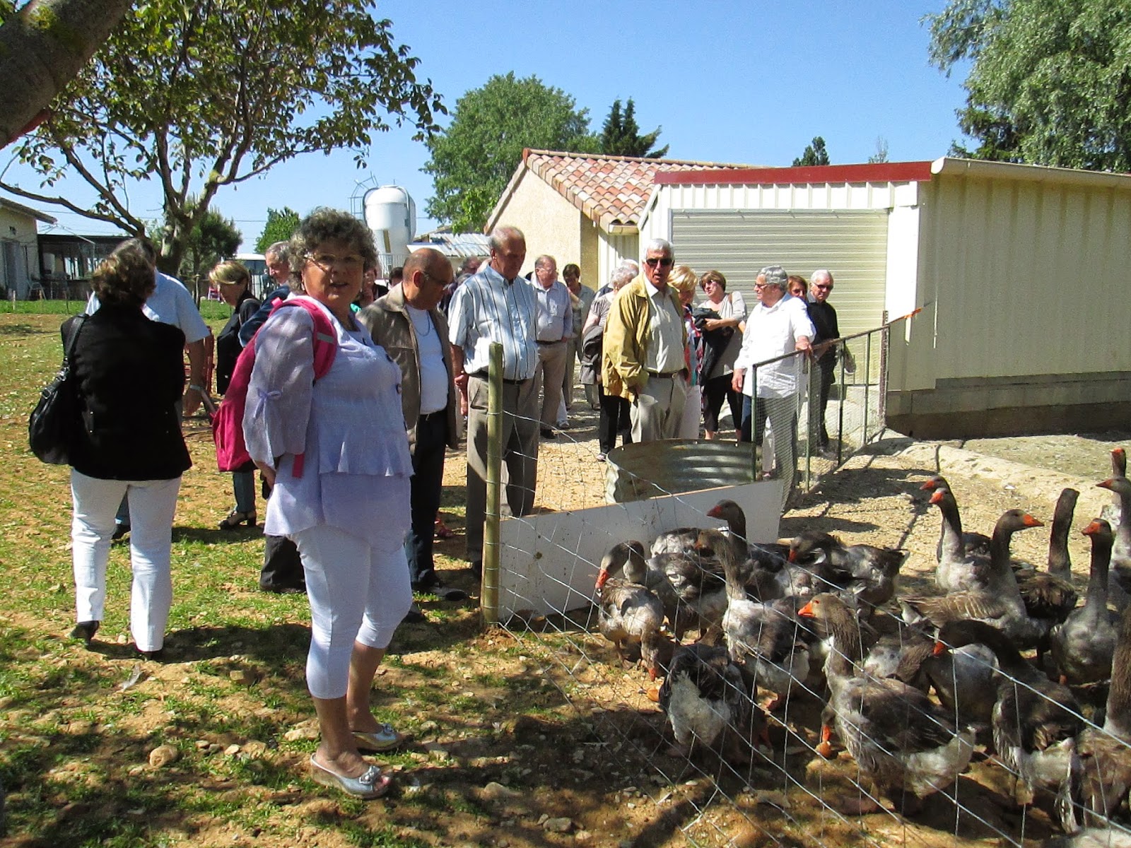 AMICALE DES RETRAITES DE ST LAURENT DES ARBRES (30126): SORTIE dans la ...