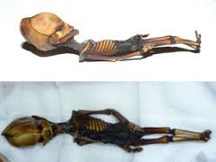 Humanoide encontrado en Atacama tiene ADN humano - Viaje paranormal