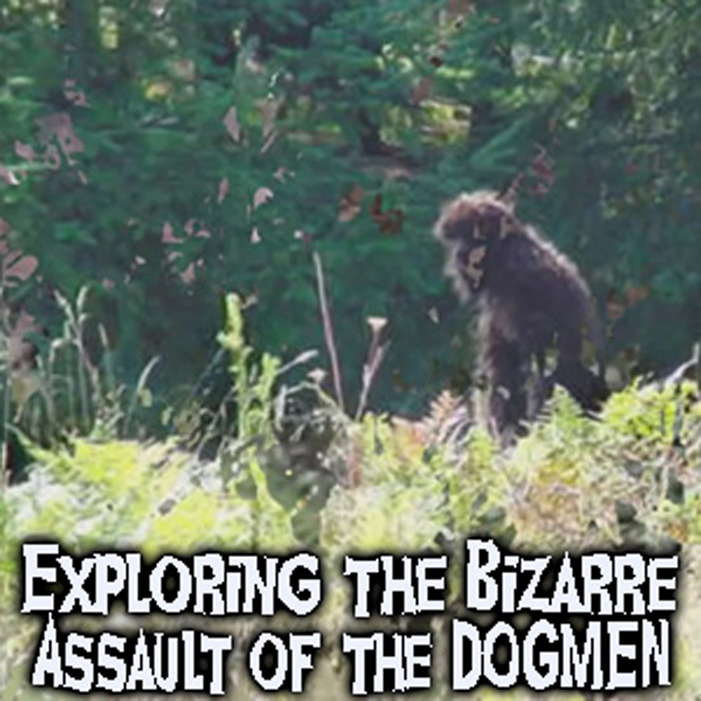 Albums 94+ Pictures Where Was The Last Of The Dogmen Filmed Completed