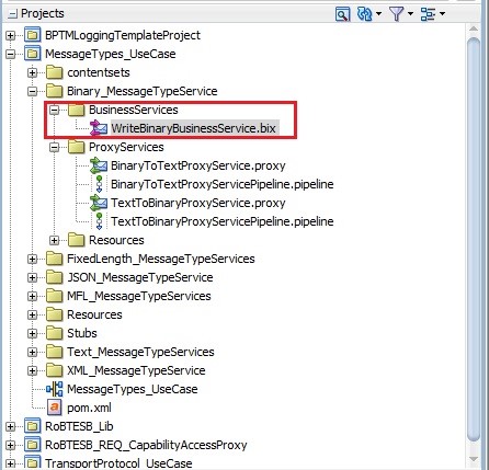 OSB-12c : Binary Message Type