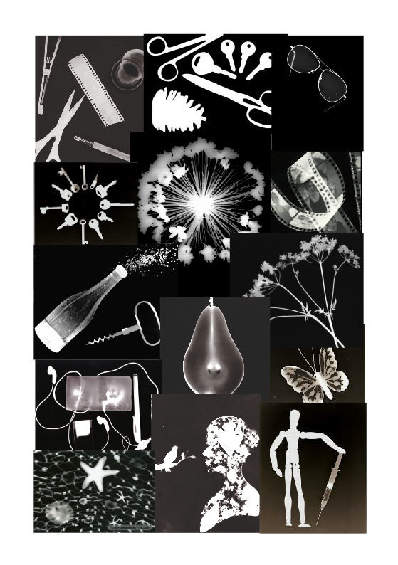 AS Photography; Weird and Wonderful: Photograms