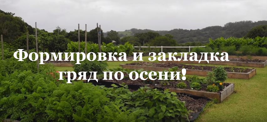 Уральский огород - без особых хлопот!: ЗАКРЫТИЕ СЕЗОНА В ПРИРОДНОМ ...