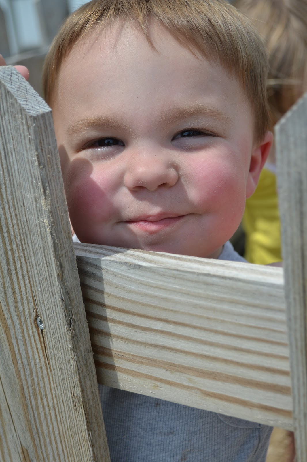 The Baker Bustle: Happy Birthday America!