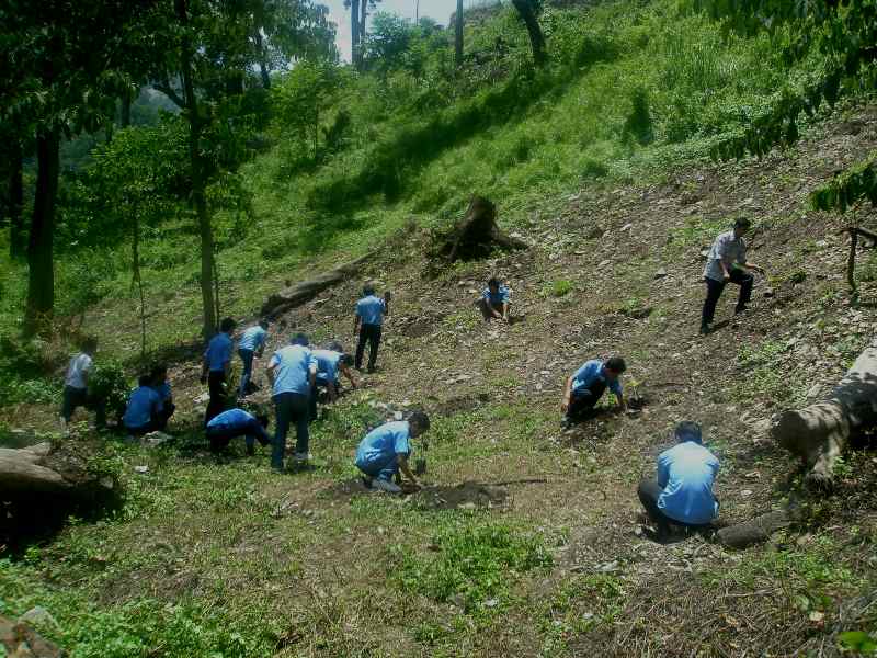 SIKKIMNEWS: PLANTATION DRIVE BY NSS VOLUNTEERS AT ITI RANGPO SIKKIM