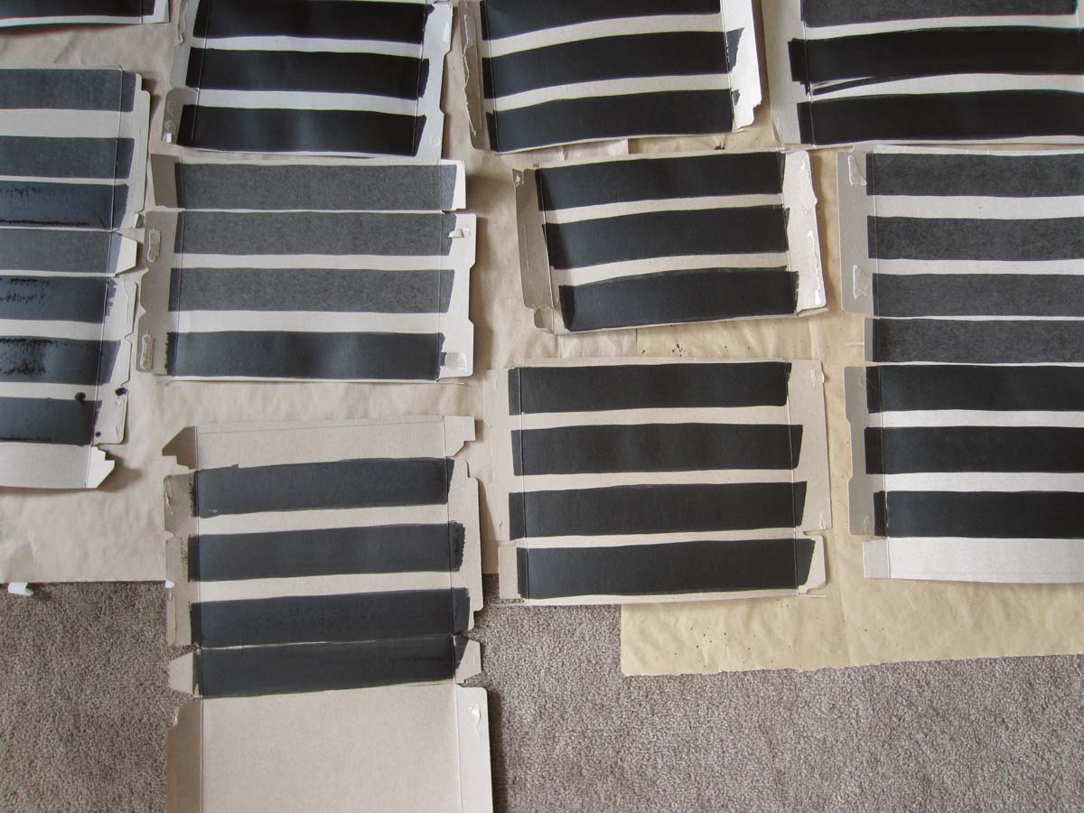 Michael McGuire: Cardboard Flag