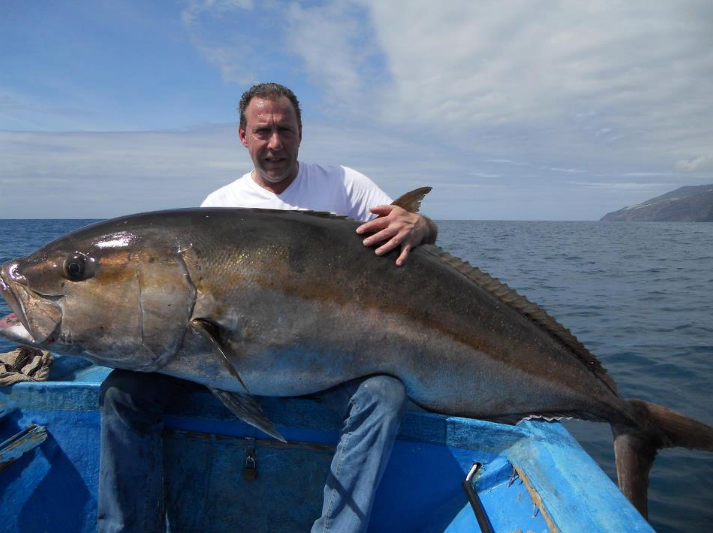 Giant Amberjack