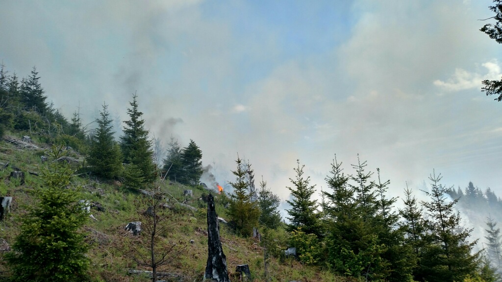 Forest Grove District : Wanless White Fire - 5/13/16