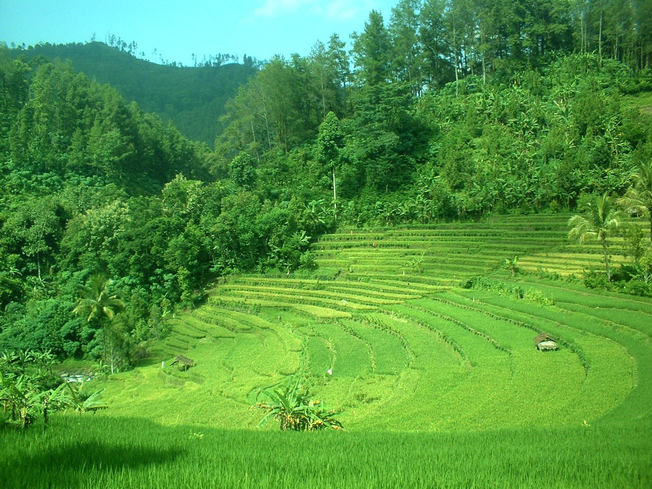 DESA TEMBORO KABUPATEN WONOGIRI: Potensi Desa