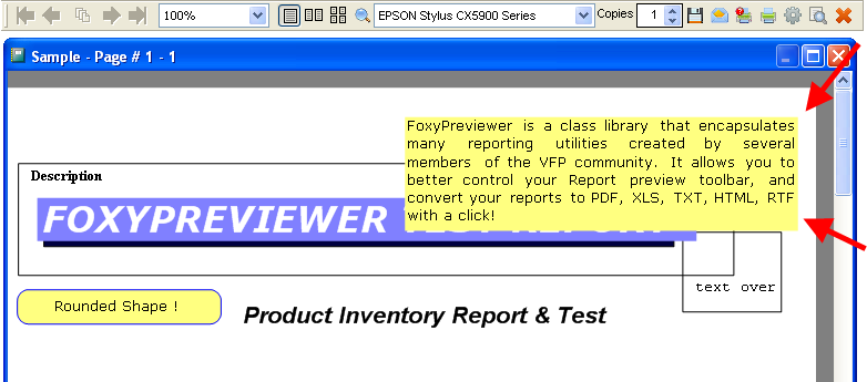 Full Feature Print Report From FoxyPreviewer | Tutorial Microsoft Visual Foxpro 9