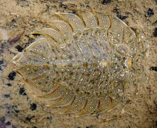 Two months in Antarctic seas: January 2013