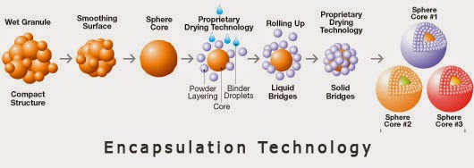 Ludwing Best Franchise: Encapsulation
