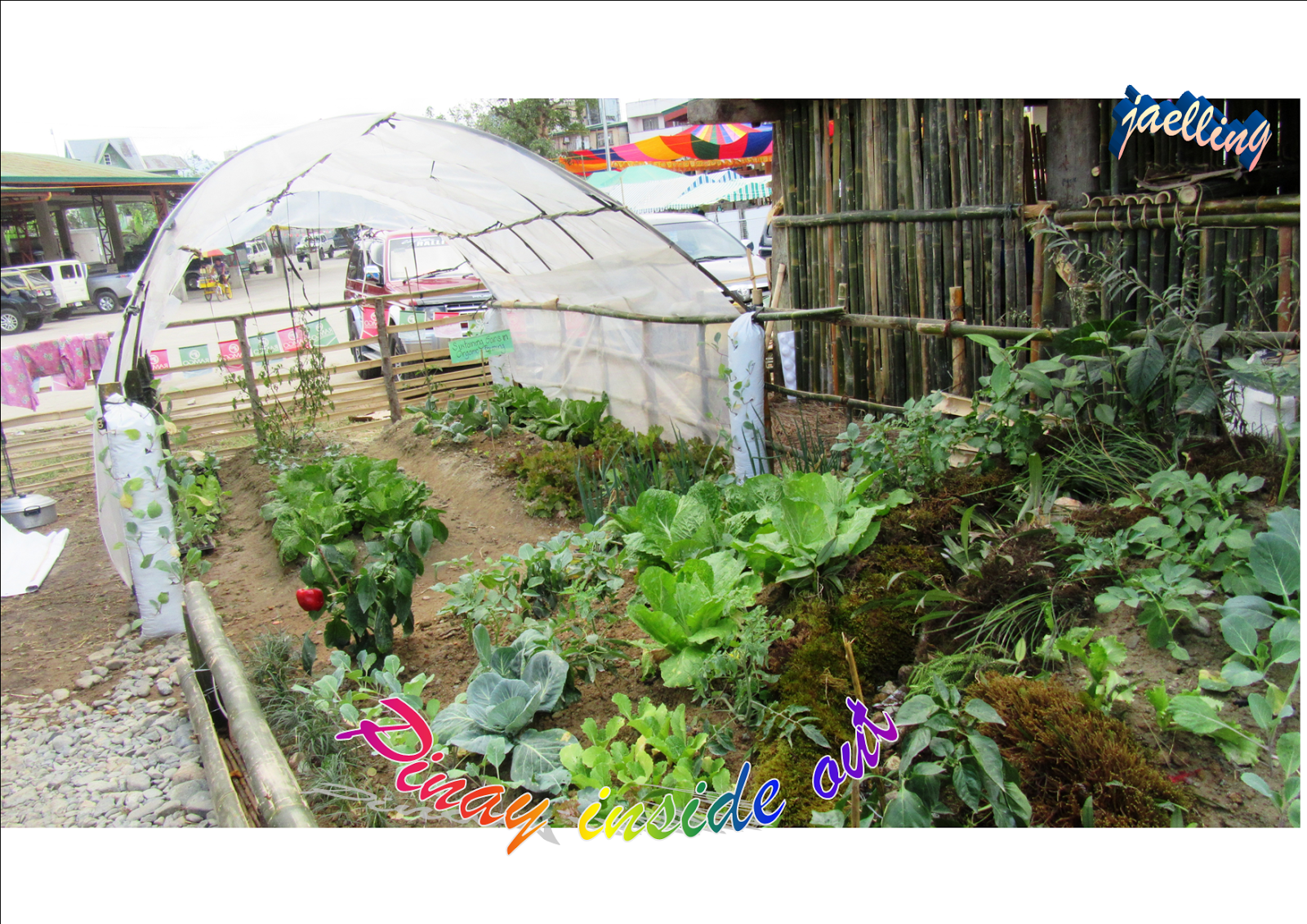 Booth of Buguias, Benguet - Adivay 2015