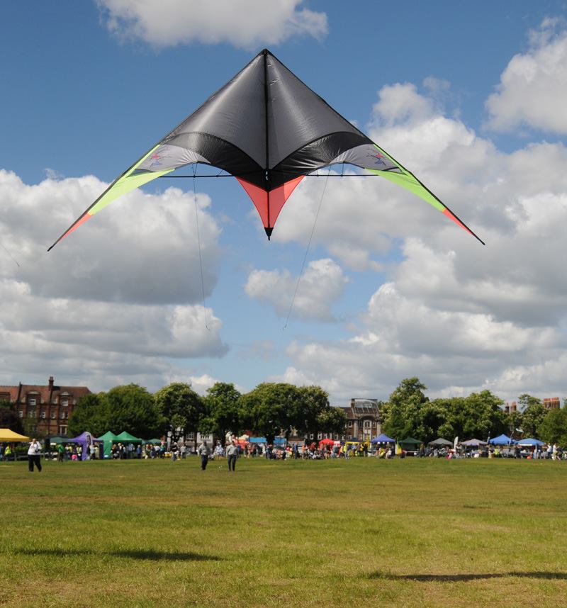 Flying Fish Kiting Team: Streatham Common Kite Day