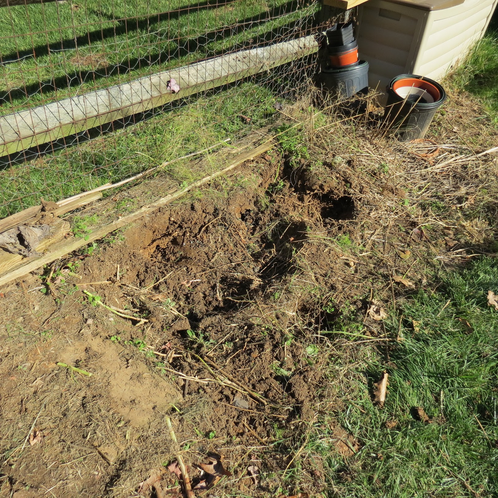 The Rusted Vegetable Garden