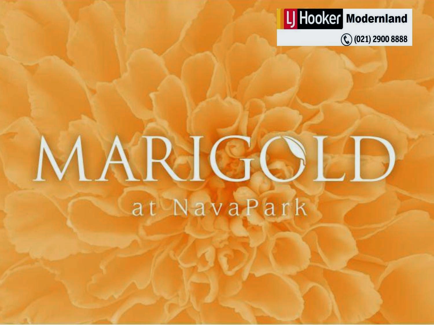 LJ Hooker Modernland : MARIGOLD AT NAVAPARK - BSD CITY