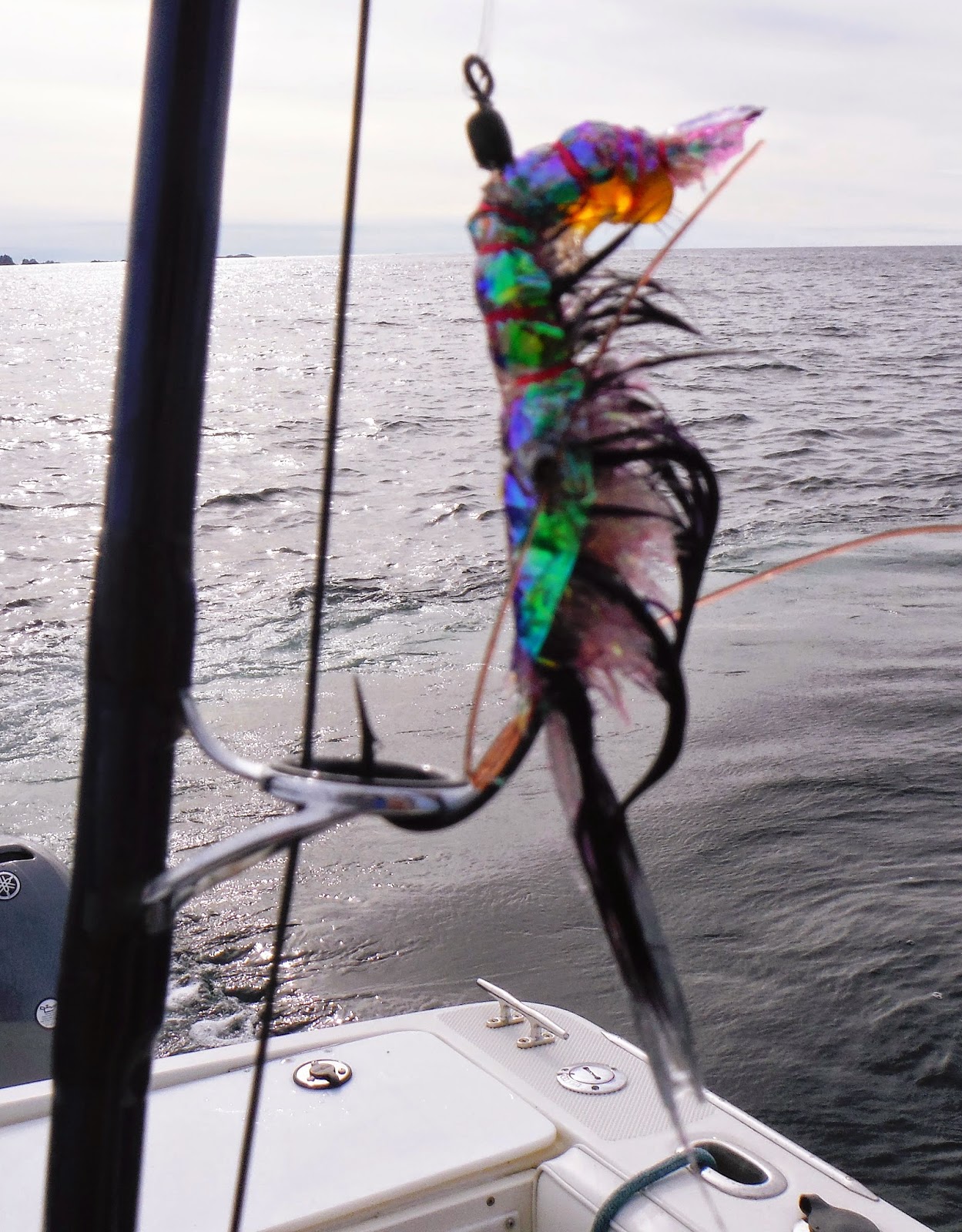 Alaska Fly Tyer: Salt water fly fishing, rockfish on a fly. Sitka Sept ...