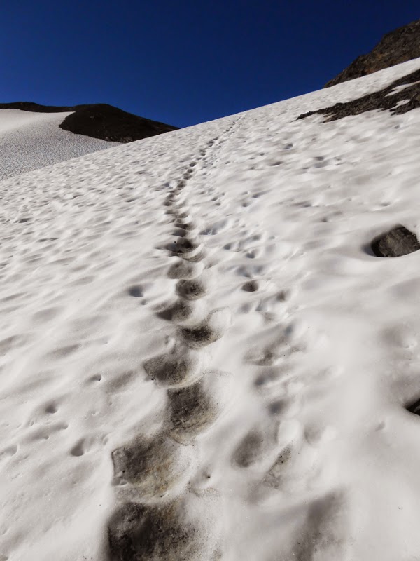 Val-Di-Ree: Obstruction Point to Dosewallips River, July 23-26, 2013