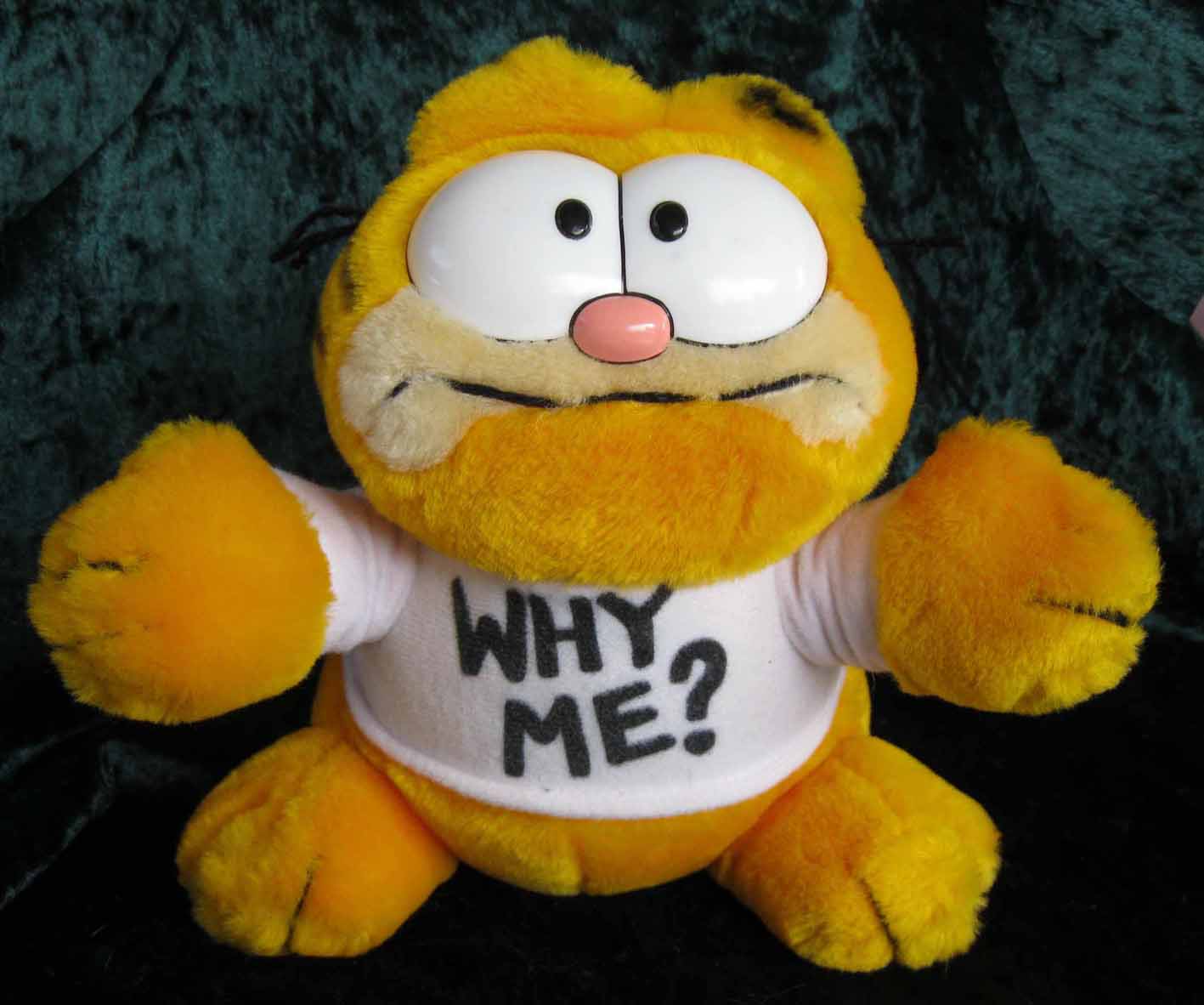 My Fluffy Toy Collection