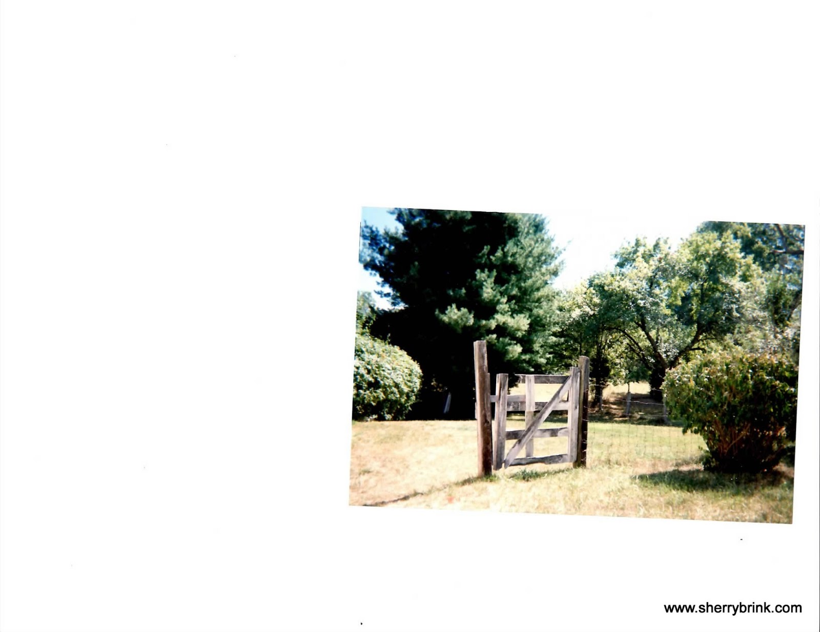 Sherry Brink's Family History - Free Memories: Baumann Photos