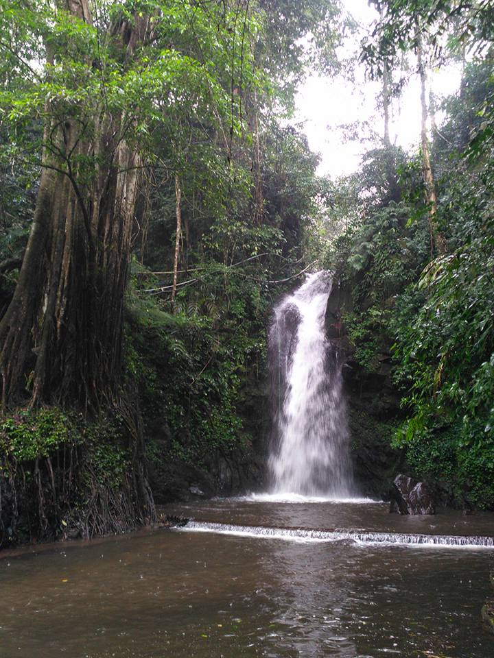 Curug Putri, Tersembunyi Di Balik Hutan Pinus Ciremai - TKJ