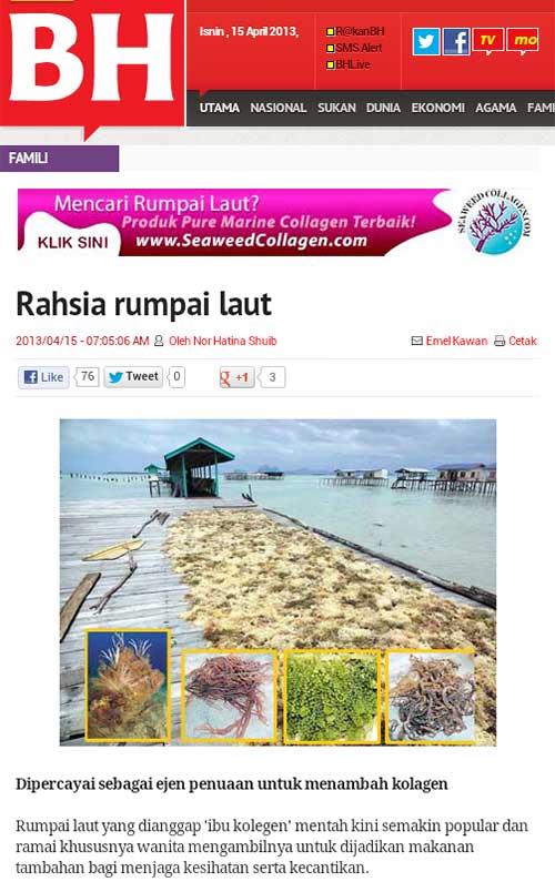 zetynara: Rahsia Rumpai Laut..