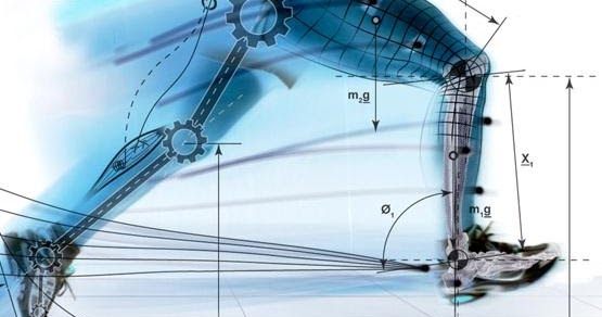 La Biomecánica : Ámbitos y Sub-campos de la biomecánica