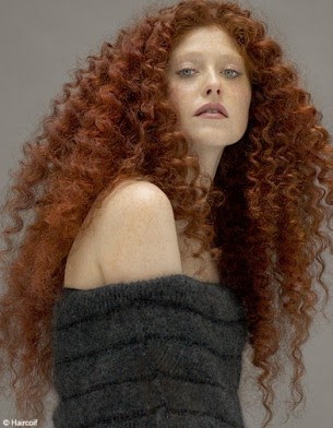 Le blog du cheveu: Dossier : cheveux roux, entre splendeur et décadence