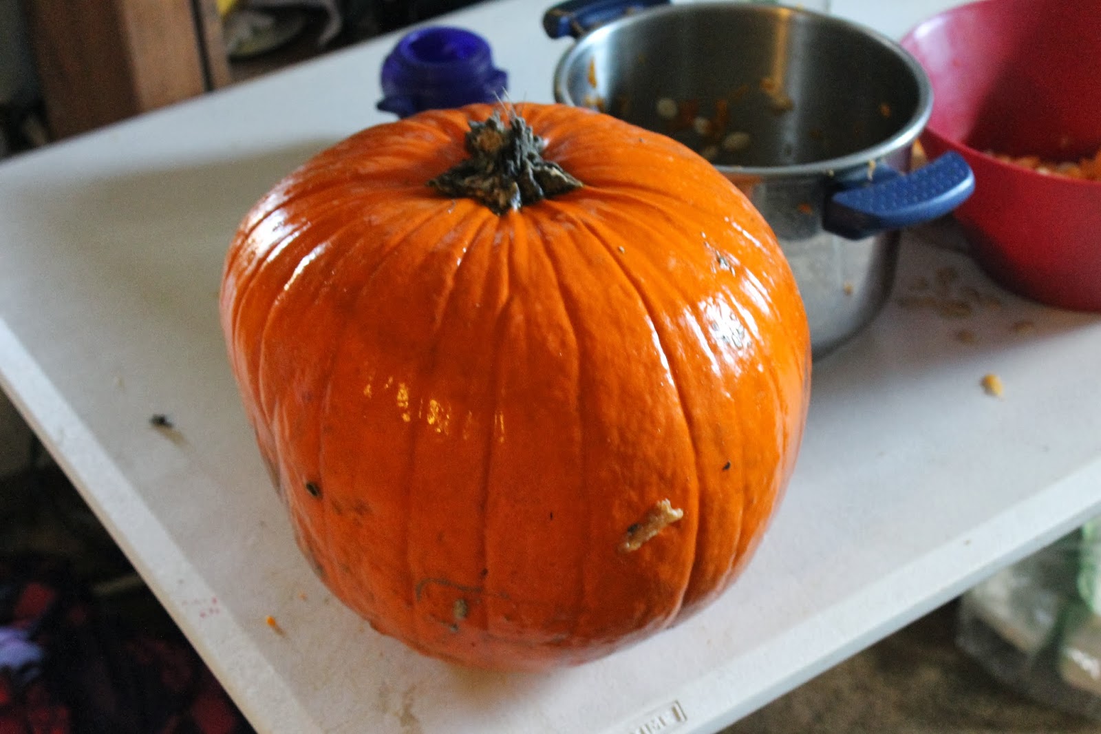 Storybook Farms (large family living): Pumpkin Time - making homemade ...