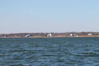 The Natural World of Mastic Beach
